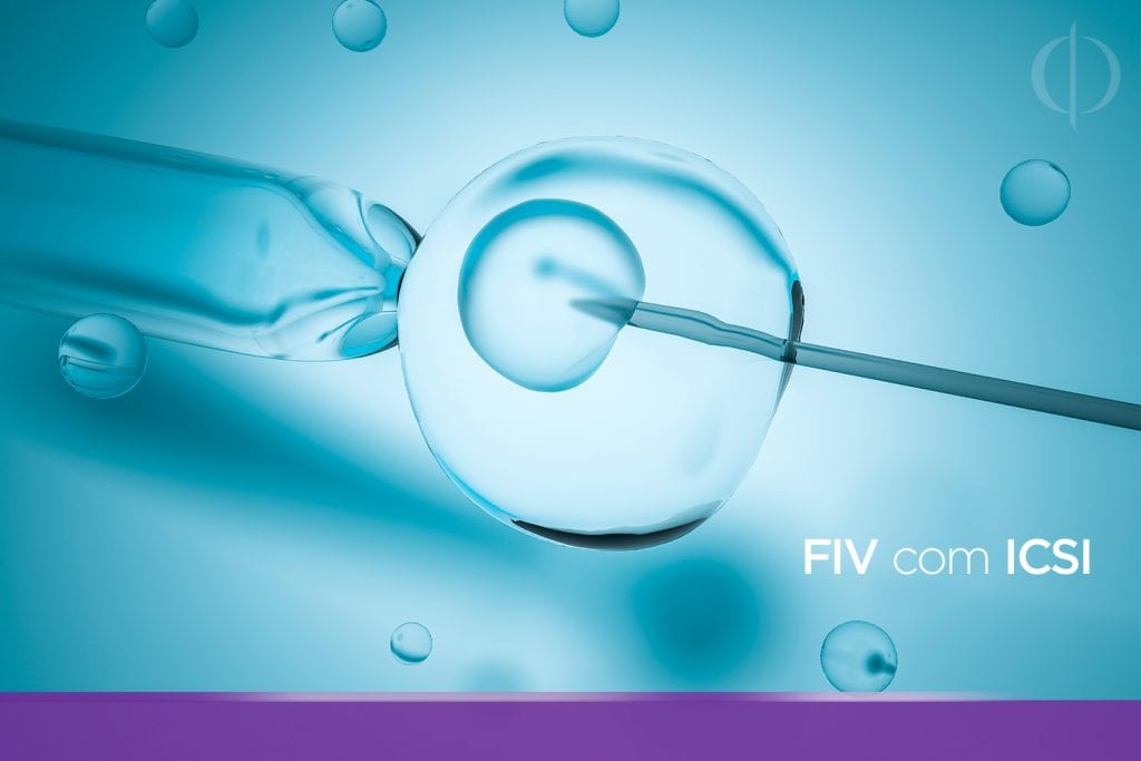 Fertilização in vitro (FIV) - Clínica Reproduce Fertilização in vitro (FIV) - Clínica Reproduce